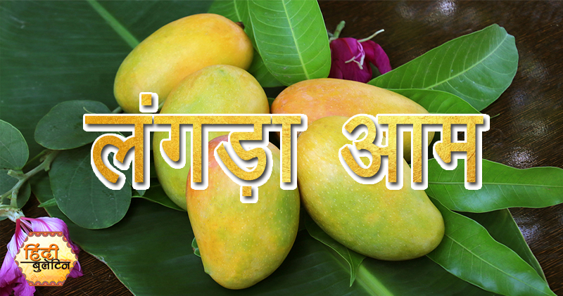 लंगड़ा आम : बेहद ख़ास है ये आम, 300 साल पुराना इतिहास, शिव जी से ख़ास ...
